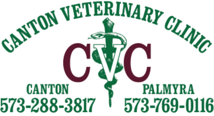 Gallery - Canton Veterinary Clinic